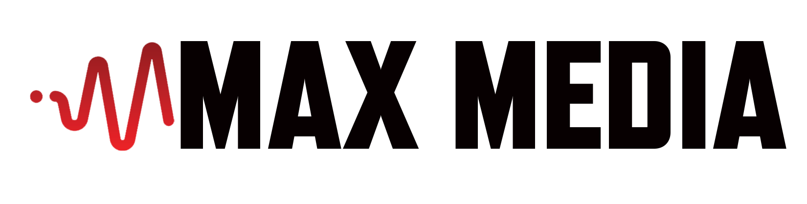 MAX MEDIA LLC.